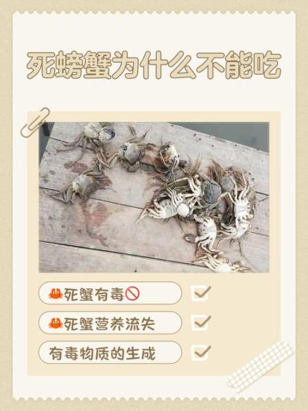 运输途中死掉的螃蟹能吃吗_死蟹中毒风险-第1张图片-山城妙识 运输途中死掉的螃蟹能吃吗_死蟹中毒风险-第1张图片-山城妙识