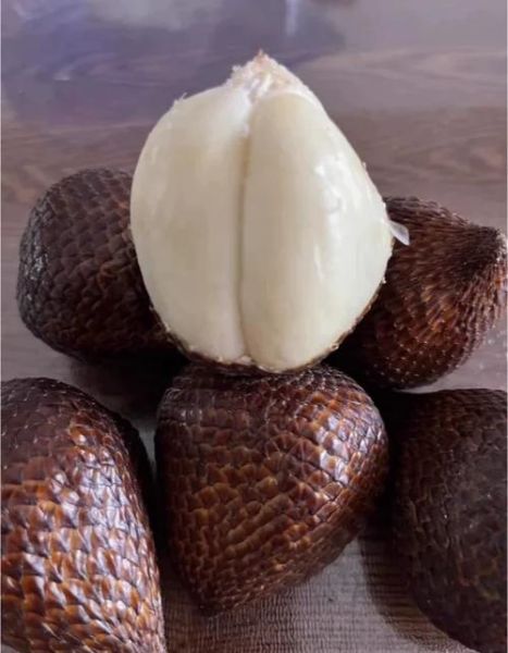 蛇皮果怎么吃图解法_蛇皮果的正确吃法-第2张图片-山城妙识 蛇皮果怎么吃图解法_蛇皮果的正确吃法-第2张图片-山城妙识