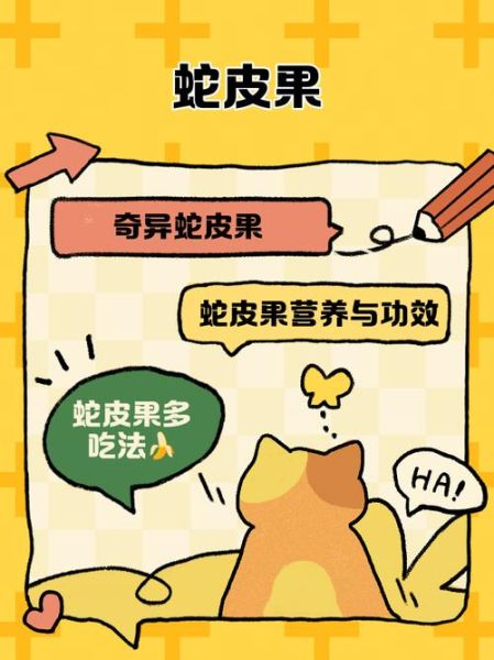 蛇皮果怎么吃图解法_蛇皮果的正确吃法-第3张图片-山城妙识 蛇皮果怎么吃图解法_蛇皮果的正确吃法-第3张图片-山城妙识