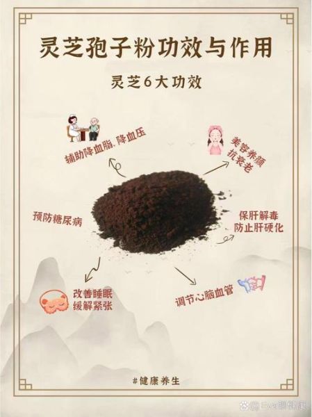 孢子粉的功效与作用_孢子粉适合什么人吃-第1张图片-山城妙识 孢子粉的功效与作用_孢子粉适合什么人吃-第1张图片-山城妙识