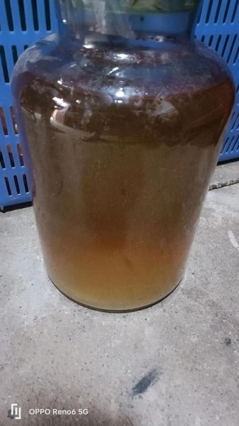 自制枧水多久可以用_枧水保存多久才失效-第1张图片-山城妙识