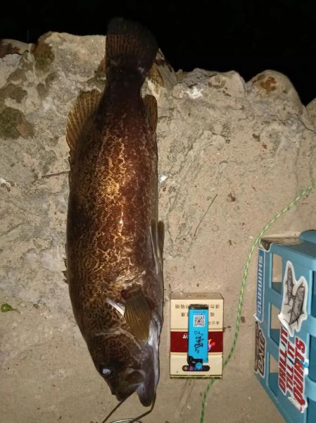 斑鳜鱼多少钱一斤_斑鳜鱼价格走势-第3张图片-山城妙识 斑鳜鱼多少钱一斤_斑鳜鱼价格走势-第3张图片-山城妙识