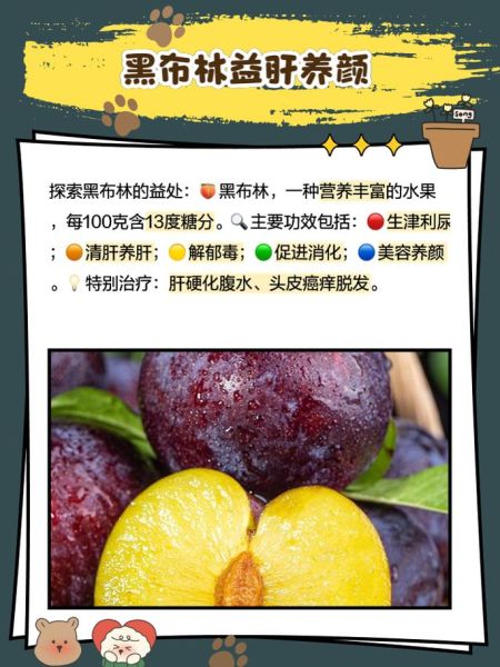 黑布林的功效与作用_黑布林怎么吃最健康-第3张图片-山城妙识 黑布林的功效与作用_黑布林怎么吃最健康-第3张图片-山城妙识