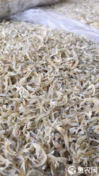 银鱼好还是丁香鱼好_营养与口感全面对比-第3张图片-山城妙识