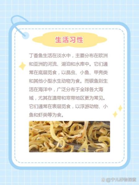 银鱼好还是丁香鱼好_营养与口感全面对比-第1张图片-山城妙识