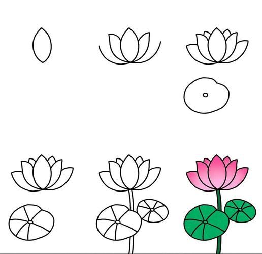 荷花简笔画怎么画_荷花简笔画步骤-第1张图片-山城妙识 荷花简笔画怎么画_荷花简笔画步骤-第1张图片-山城妙识