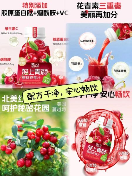 樱桃汁饮料的功效与作用_樱桃汁饮料怎么喝最好-第3张图片-山城妙识