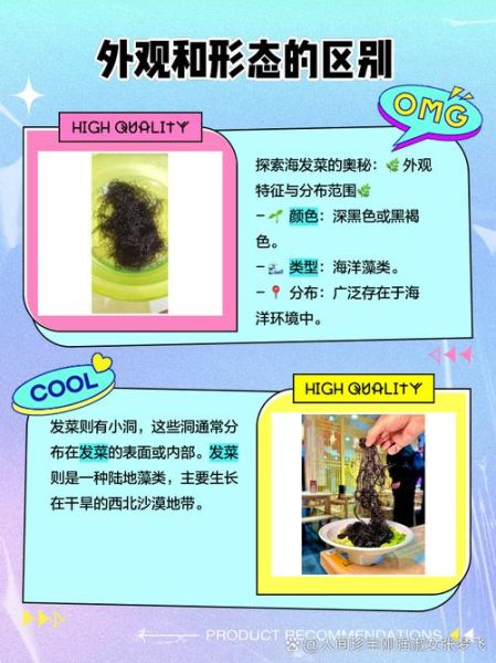 海发菜和发菜的区别_哪个更营养-第1张图片-山城妙识
