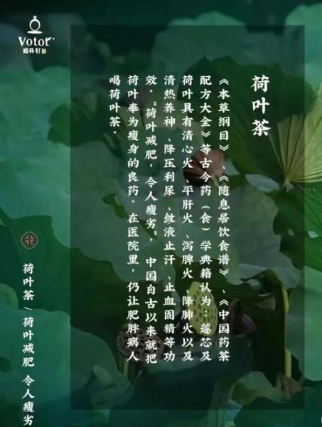 荷叶茶的功效与作用_荷叶茶有副作用吗-第1张图片-山城妙识