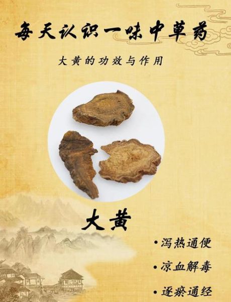 大黄的功效与作用_大黄能减肥吗-第1张图片-山城妙识 大黄的功效与作用_大黄能减肥吗-第1张图片-山城妙识
