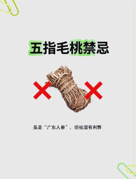 五指毛桃不能和什么一起吃_五指毛桃相克食物有哪些-第1张图片-山城妙识