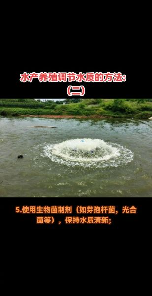 草虾养殖技术_水质问题怎么解决-第1张图片-山城妙识 草虾养殖技术_水质问题怎么解决-第1张图片-山城妙识