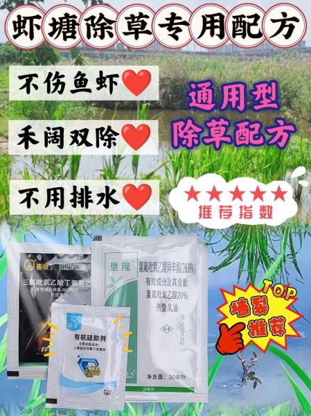 草虾养殖技术_水质问题怎么解决-第2张图片-山城妙识 草虾养殖技术_水质问题怎么解决-第2张图片-山城妙识