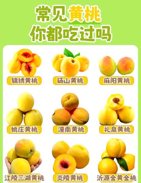 黄桃的营养价值_黄桃的功效与作用-第1张图片-山城妙识 黄桃的营养价值_黄桃的功效与作用-第1张图片-山城妙识