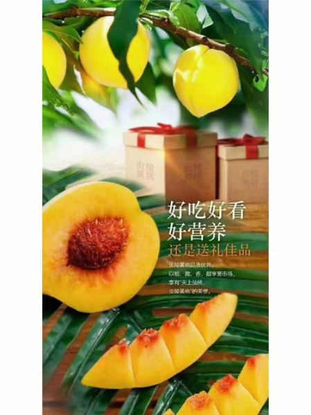 黄桃的营养价值_黄桃的功效与作用-第3张图片-山城妙识 黄桃的营养价值_黄桃的功效与作用-第3张图片-山城妙识