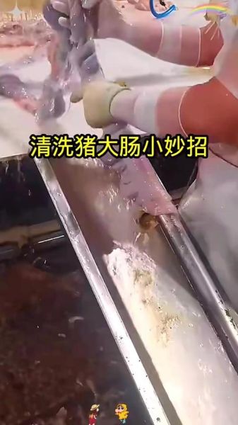 猪大肠怎么清洗_猪大肠的做法大全-第2张图片-山城妙识 猪大肠怎么清洗_猪大肠的做法大全-第2张图片-山城妙识