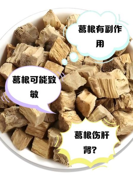 葛根的危害有哪些_葛根吃多了会怎样-第1张图片-山城妙识 葛根的危害有哪些_葛根吃多了会怎样-第1张图片-山城妙识