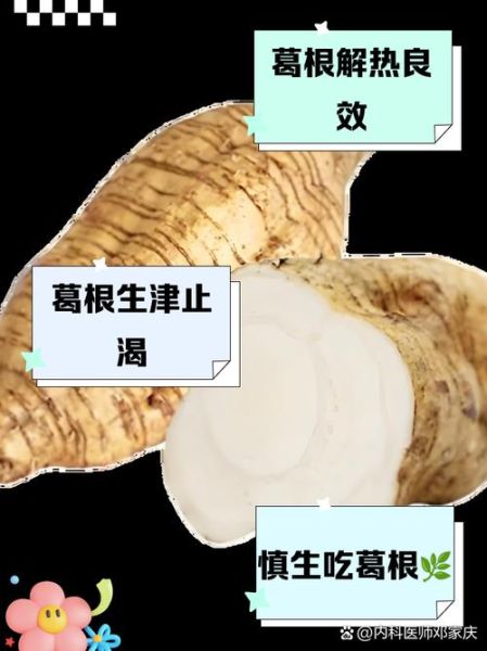 葛根的危害有哪些_葛根吃多了会怎样-第3张图片-山城妙识 葛根的危害有哪些_葛根吃多了会怎样-第3张图片-山城妙识