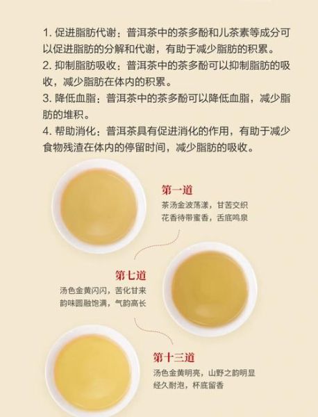 长期喝普洱茶能减肥吗_普洱茶减肥原理-第1张图片-山城妙识 长期喝普洱茶能减肥吗_普洱茶减肥原理-第1张图片-山城妙识