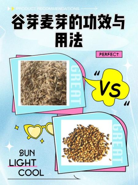 谷芽的功效与作用_谷芽怎么泡水喝-第2张图片-山城妙识 谷芽的功效与作用_谷芽怎么泡水喝-第2张图片-山城妙识