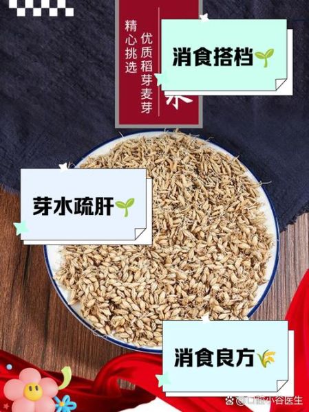 谷芽的功效与作用_谷芽怎么泡水喝-第1张图片-山城妙识 谷芽的功效与作用_谷芽怎么泡水喝-第1张图片-山城妙识
