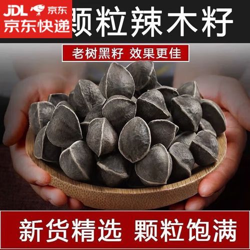 辣木籽怎么吃_辣木籽一天吃几粒-第3张图片-山城妙识 辣木籽怎么吃_辣木籽一天吃几粒-第3张图片-山城妙识