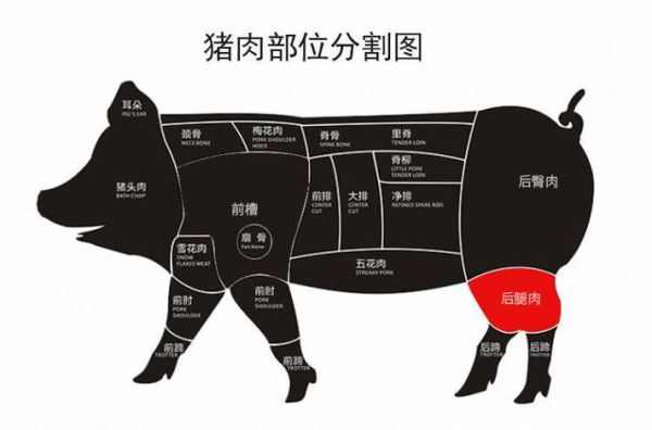 里脊肉是哪个部位的肉_里脊肉为什么嫩-第2张图片-山城妙识