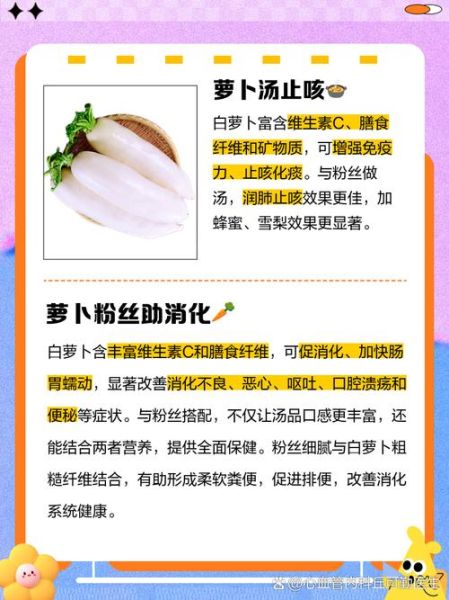 白萝卜粉丝汤怎么做_白萝卜粉丝汤的功效与禁忌-第1张图片-山城妙识