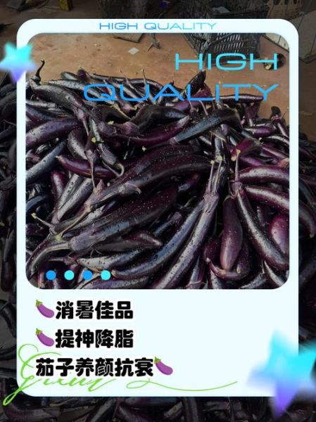 生茄子能生吃吗_生茄子的功效与作用-第3张图片-山城妙识 生茄子能生吃吗_生茄子的功效与作用-第3张图片-山城妙识