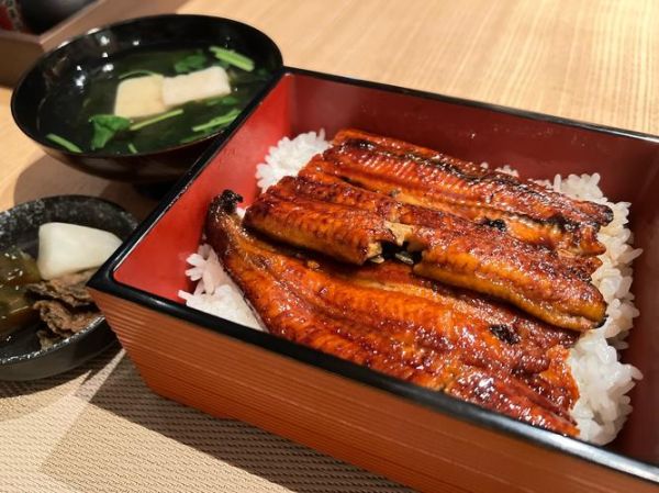 鳗鱼饭日语怎么说_鳗鱼饭日语发音-第2张图片-山城妙识 鳗鱼饭日语怎么说_鳗鱼饭日语发音-第2张图片-山城妙识