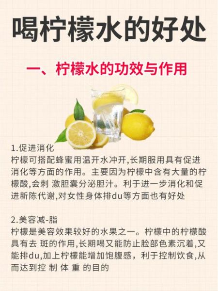 咸柠檬水能减肥吗_咸柠檬水的功效与作用-第1张图片-山城妙识