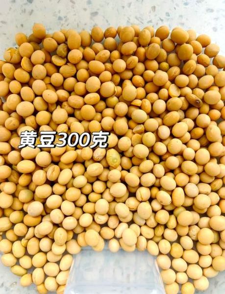 黄豆粉怎么做_黄豆粉的做法大全家常简单-第2张图片-山城妙识