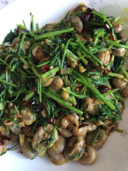 茴香菜怎么做好吃_茴香菜的做法大全-第3张图片-山城妙识 茴香菜怎么做好吃_茴香菜的做法大全-第3张图片-山城妙识