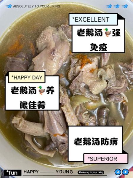 老鹅汤的功效与作用_老鹅汤适合什么人喝-第3张图片-山城妙识 老鹅汤的功效与作用_老鹅汤适合什么人喝-第3张图片-山城妙识