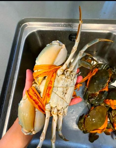 三门青蟹怎么做好吃_三门青蟹清蒸还是红烧-第1张图片-山城妙识 三门青蟹怎么做好吃_三门青蟹清蒸还是红烧-第1张图片-山城妙识