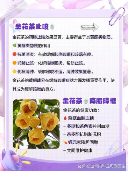 金花茶的功效与作用_金花茶适合什么人喝-第2张图片-山城妙识 金花茶的功效与作用_金花茶适合什么人喝-第2张图片-山城妙识