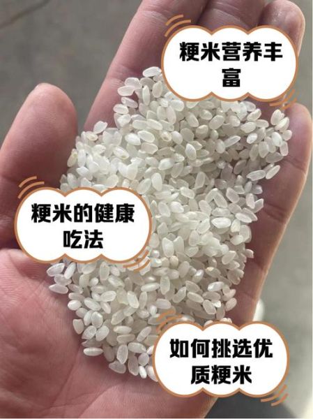 粳米是什么米_粳米哪里有卖-第1张图片-山城妙识