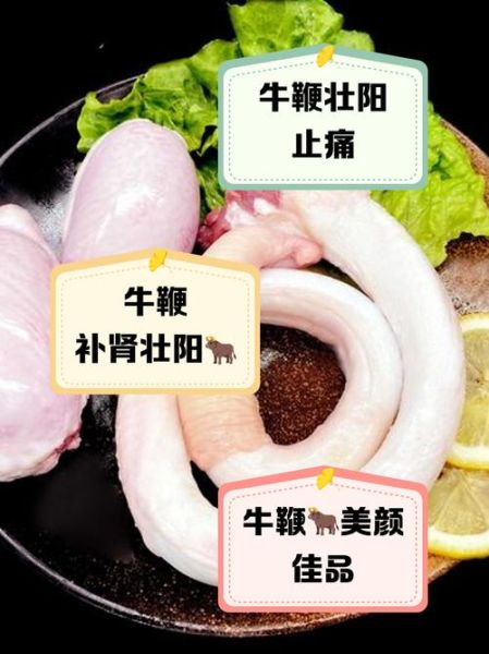 牛鞭那么长母牛得多长_母牛体长与牛鞭比例-第2张图片-山城妙识 牛鞭那么长母牛得多长_母牛体长与牛鞭比例-第2张图片-山城妙识