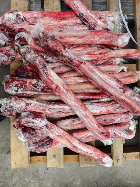 牛鞭那么长母牛得多长_母牛体长与牛鞭比例-第3张图片-山城妙识 牛鞭那么长母牛得多长_母牛体长与牛鞭比例-第3张图片-山城妙识