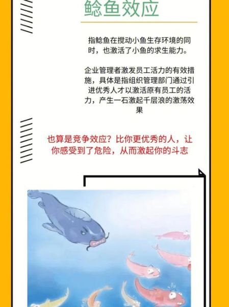 鲶鱼效应是什么意思_鲶鱼效应的由来-第3张图片-山城妙识 鲶鱼效应是什么意思_鲶鱼效应的由来-第3张图片-山城妙识