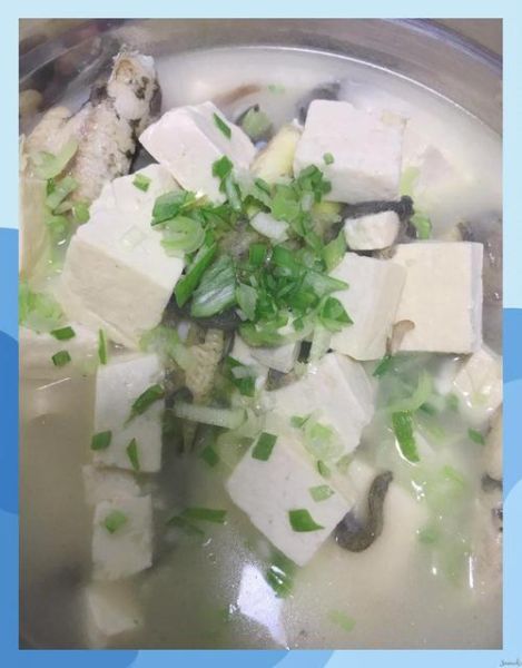 黄辣丁豆腐汤怎么做好吃_黄辣丁豆腐汤的做法窍门-第1张图片-山城妙识 黄辣丁豆腐汤怎么做好吃_黄辣丁豆腐汤的做法窍门-第1张图片-山城妙识