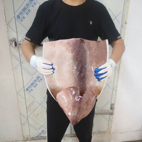 鱿鱼头怎么处理才干净_去内脏技巧-第3张图片-山城妙识