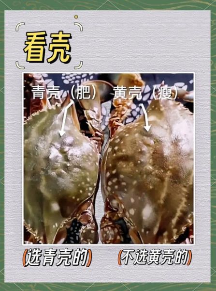 梭子蟹渔汛什么时候_梭子蟹几月份最肥-第1张图片-山城妙识 梭子蟹渔汛什么时候_梭子蟹几月份最肥-第1张图片-山城妙识