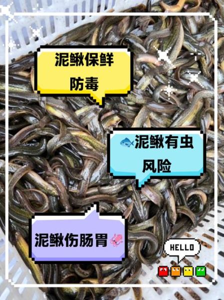 孩子吃泥鳅安全吗_泥鳅对儿童的危害-第1张图片-山城妙识 孩子吃泥鳅安全吗_泥鳅对儿童的危害-第1张图片-山城妙识
