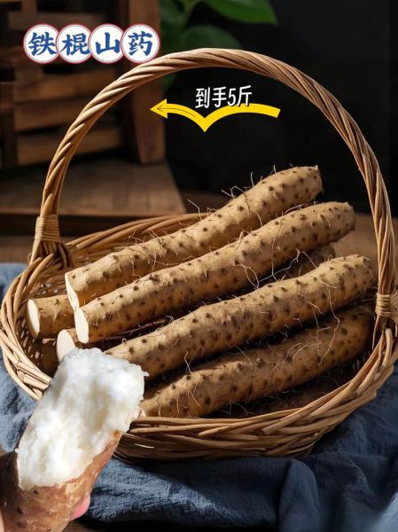 铁棍山药多少钱一斤_正宗温县铁棍山药价格行情-第2张图片-山城妙识 铁棍山药多少钱一斤_正宗温县铁棍山药价格行情-第2张图片-山城妙识