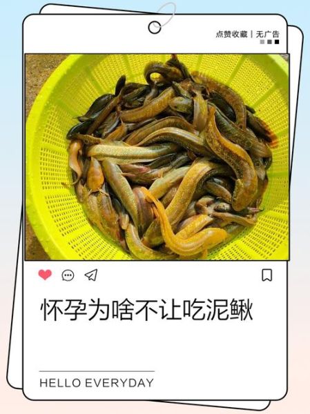 孩子吃泥鳅安全吗_泥鳅对儿童的危害-第3张图片-山城妙识 孩子吃泥鳅安全吗_泥鳅对儿童的危害-第3张图片-山城妙识