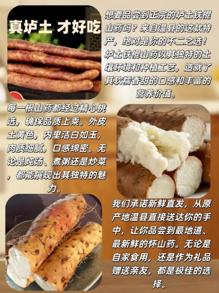 铁棍山药多少钱一斤_正宗温县铁棍山药价格行情-第1张图片-山城妙识 铁棍山药多少钱一斤_正宗温县铁棍山药价格行情-第1张图片-山城妙识