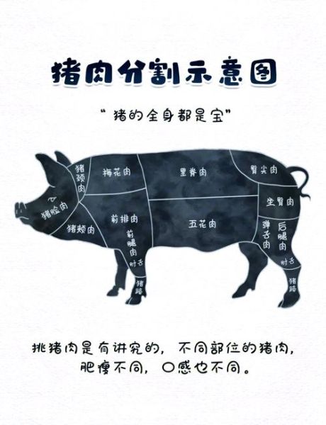 猪肉怎么选才新鲜_猪肉哪个部位最好吃-第2张图片-山城妙识 猪肉怎么选才新鲜_猪肉哪个部位最好吃-第2张图片-山城妙识