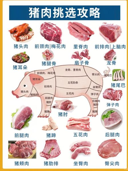 猪肉怎么选才新鲜_猪肉哪个部位最好吃-第1张图片-山城妙识 猪肉怎么选才新鲜_猪肉哪个部位最好吃-第1张图片-山城妙识