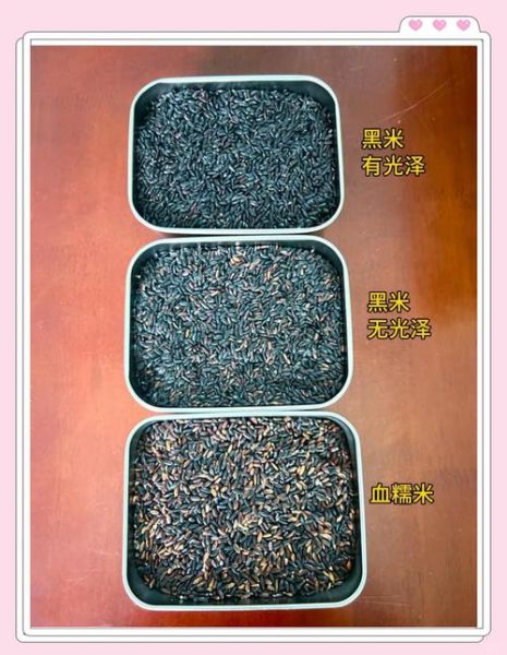 黑米和黑糯米的区别_哪个更营养-第1张图片-山城妙识 黑米和黑糯米的区别_哪个更营养-第1张图片-山城妙识
